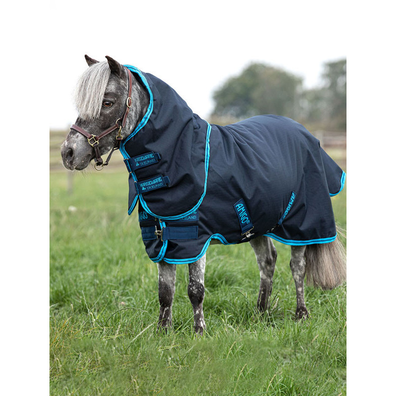 Couverture Amigo Hero 6 Pony Plus Turnout 200g Horseware